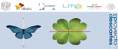 ¿Conoces lo que es la simetría axial? @prende.mx