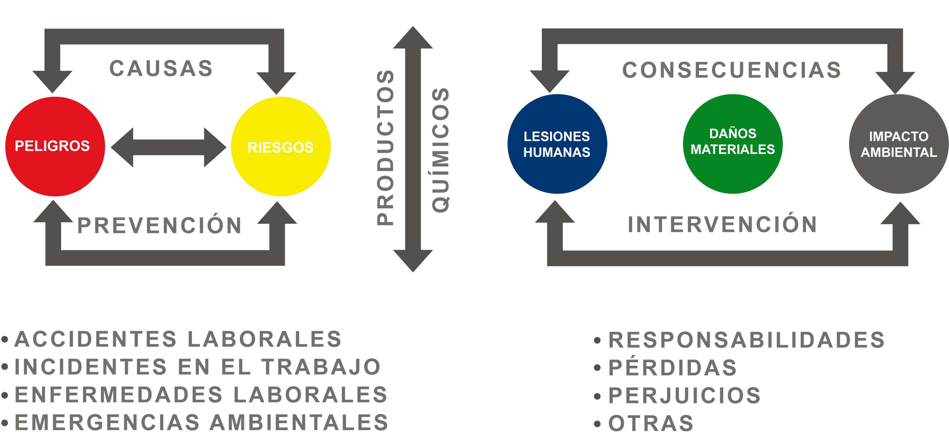 Libro digital interactivo